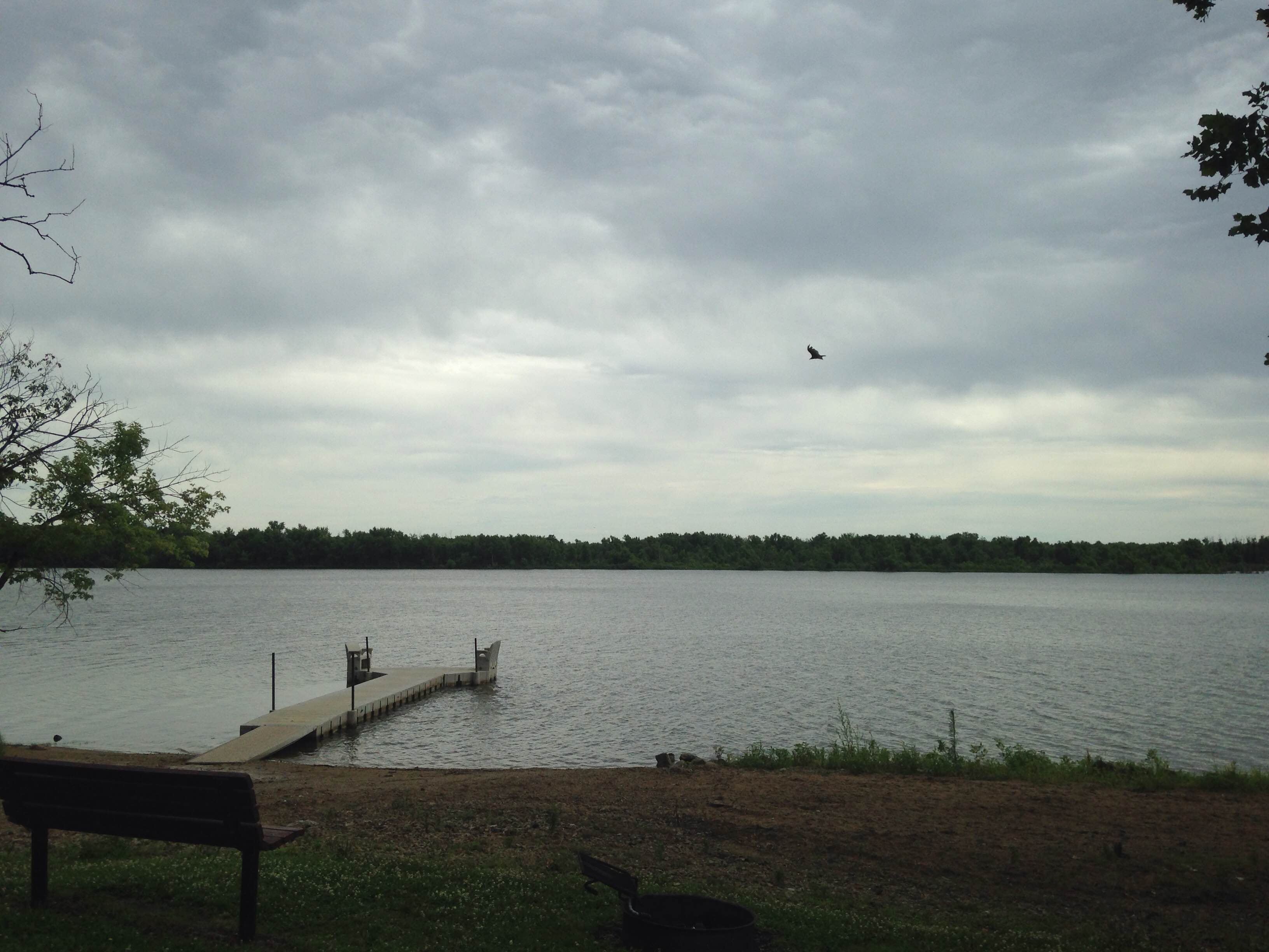 Louisa’s Majesty-Endless Waterways,Woodlands, History, & an Authentic ...