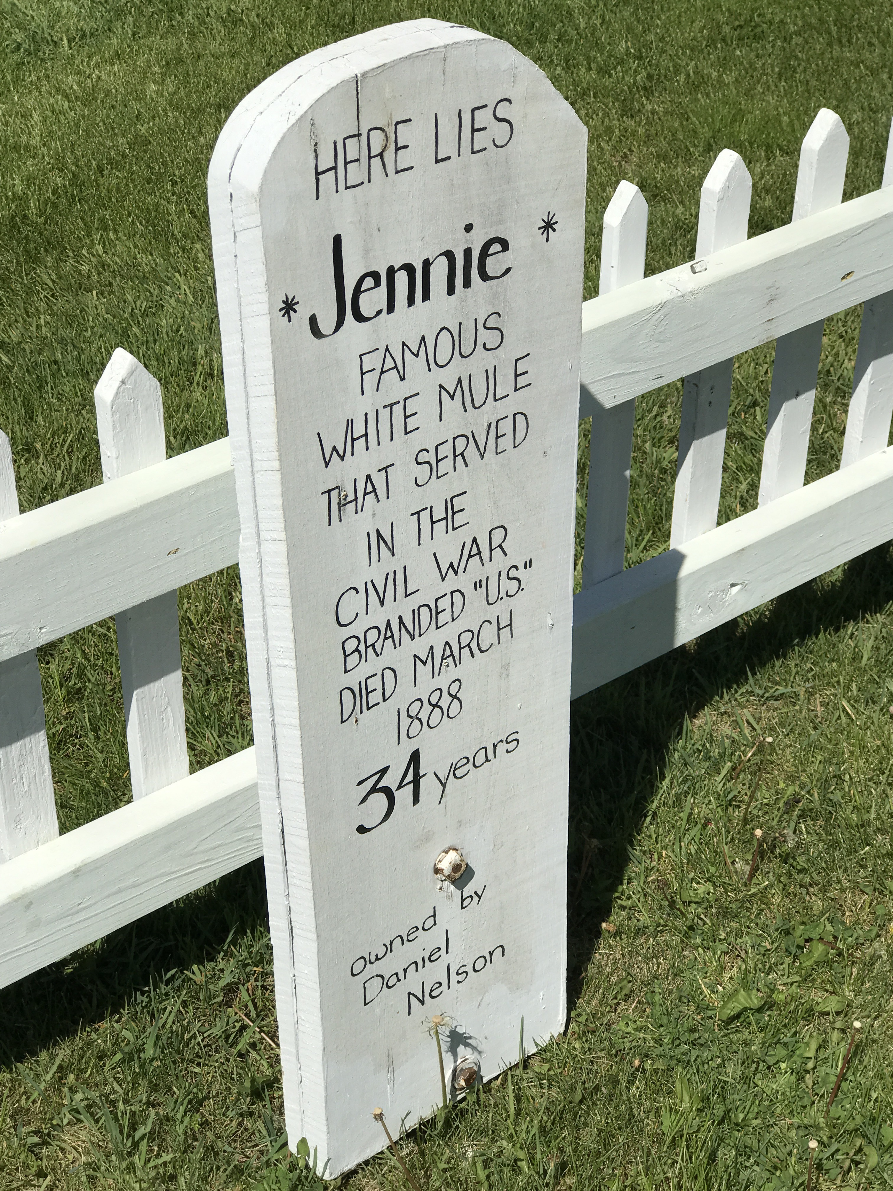 Four Legged Heroes- Iowa’s Only Mule Cemetery – The Iowa Gallivant