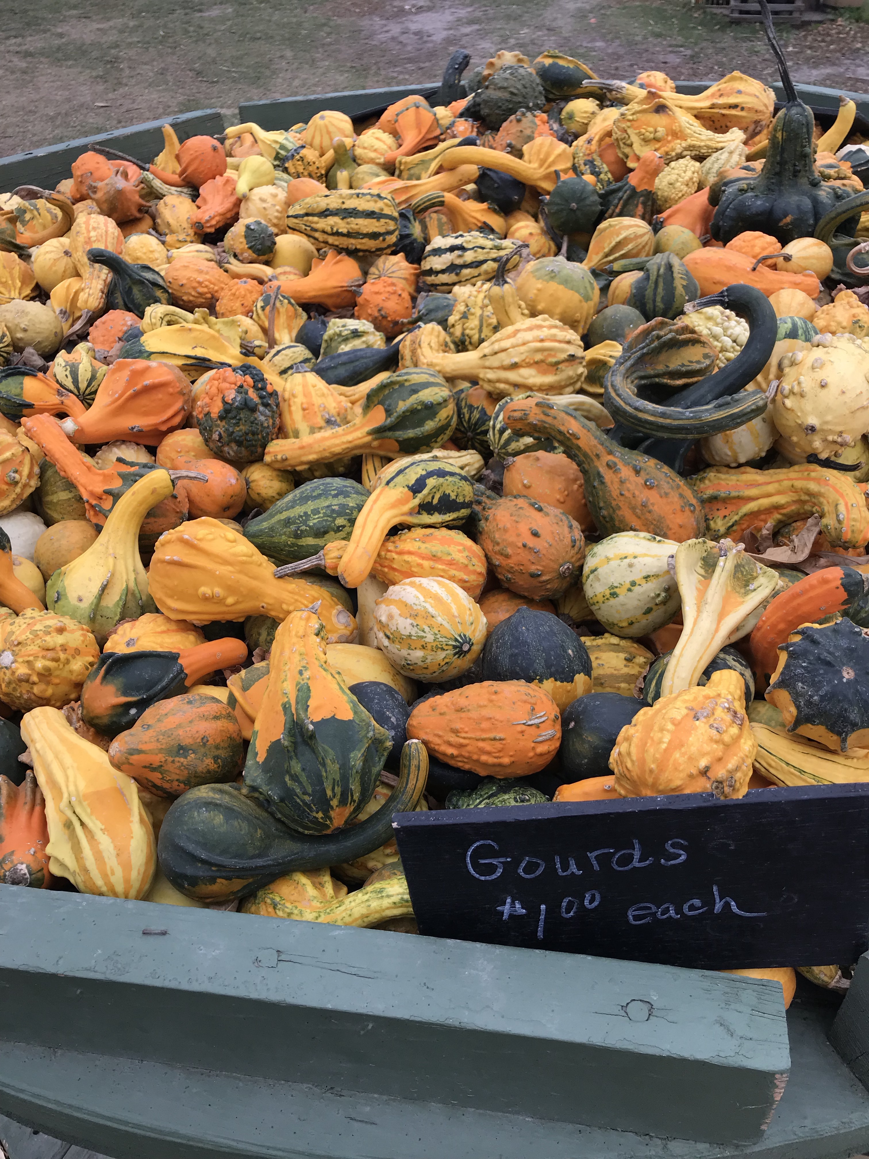 Up to Our Necks in Harvest Season – The Iowa Gallivant